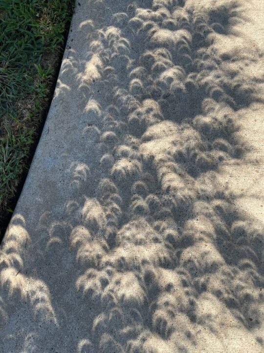 Observatory images of eclipses of the time of Promised Messiah and Imam ...